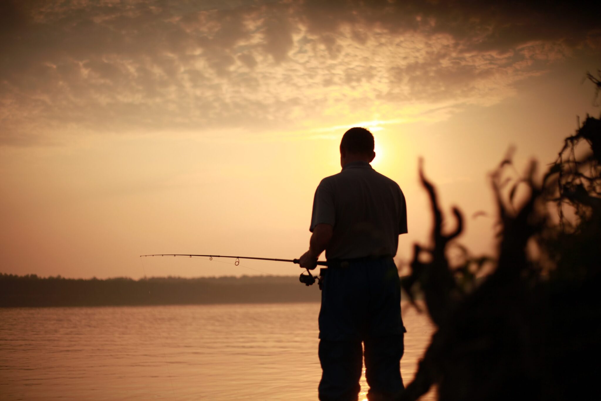 Your Guide to Fraser River Sturgeon Fishing - Analog Medium